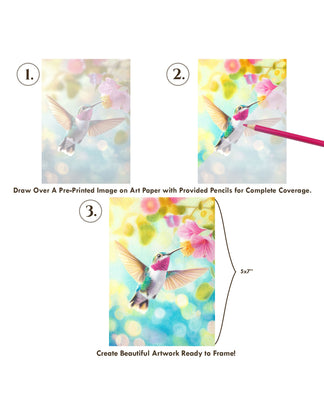 Drawing Kit: Hummingbirds – Grizaye Art