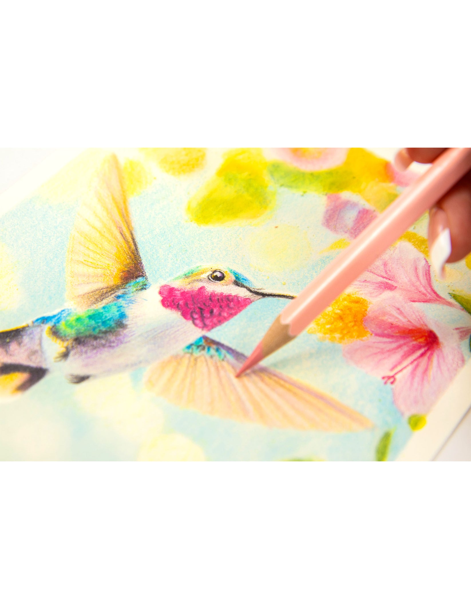 Drawing Kit: Hummingbirds – Grizaye Art