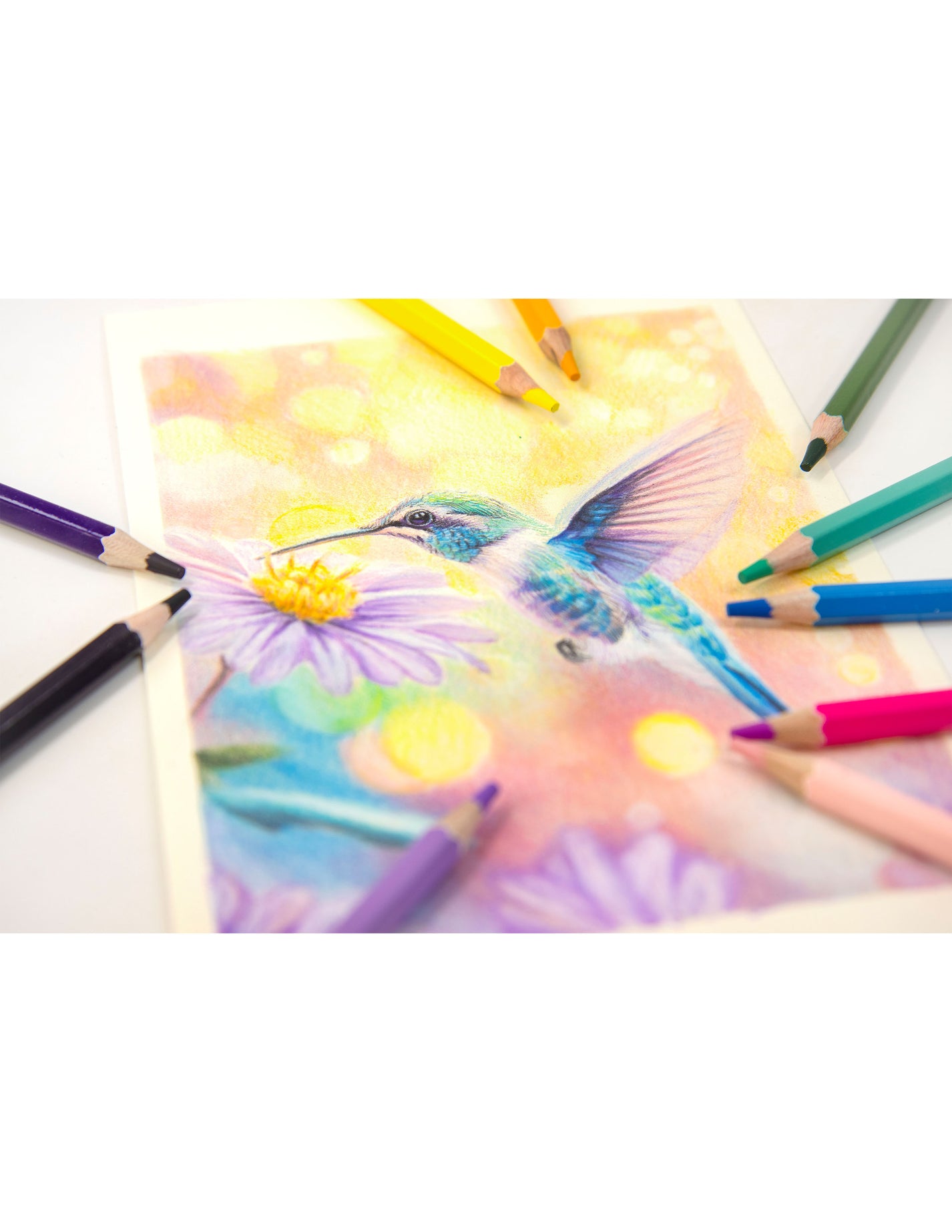 Drawing Kit: Hummingbirds – Grizaye Art