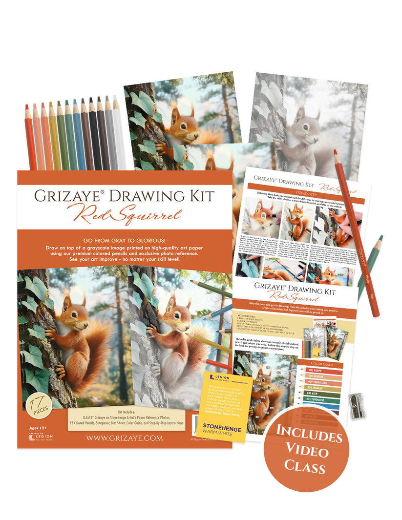 Drawing Kit: Red Squirrel – Grizaye Art