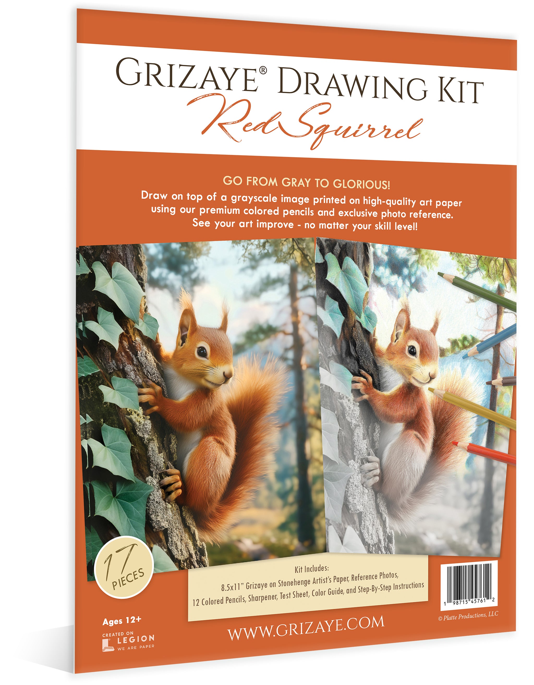 Drawing Kit: Red Squirrel – Grizaye Art