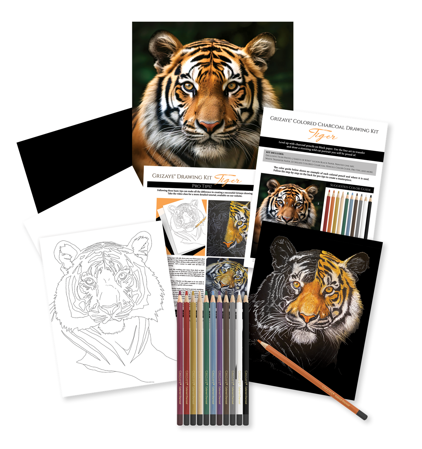 Colored Charcoal Drawing Kit: Tiger – Grizaye Art